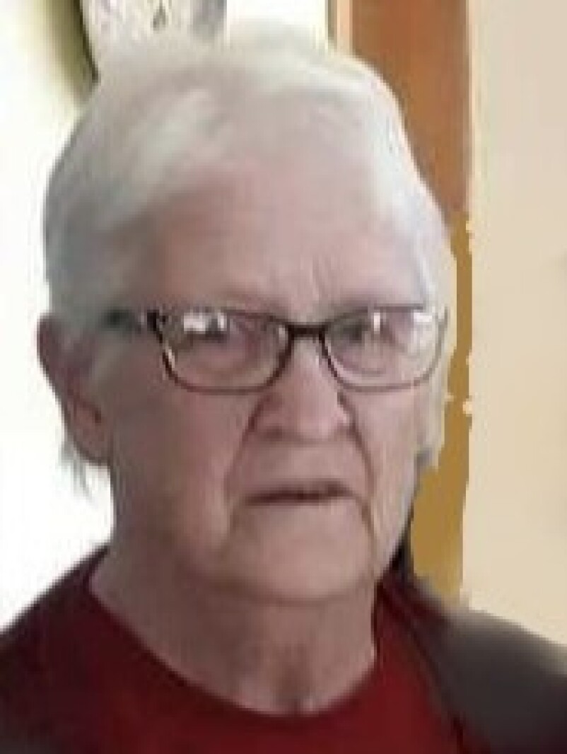 Ruth Ann Dessner - Post Bulletin | Rochester Minnesota news, weather ...