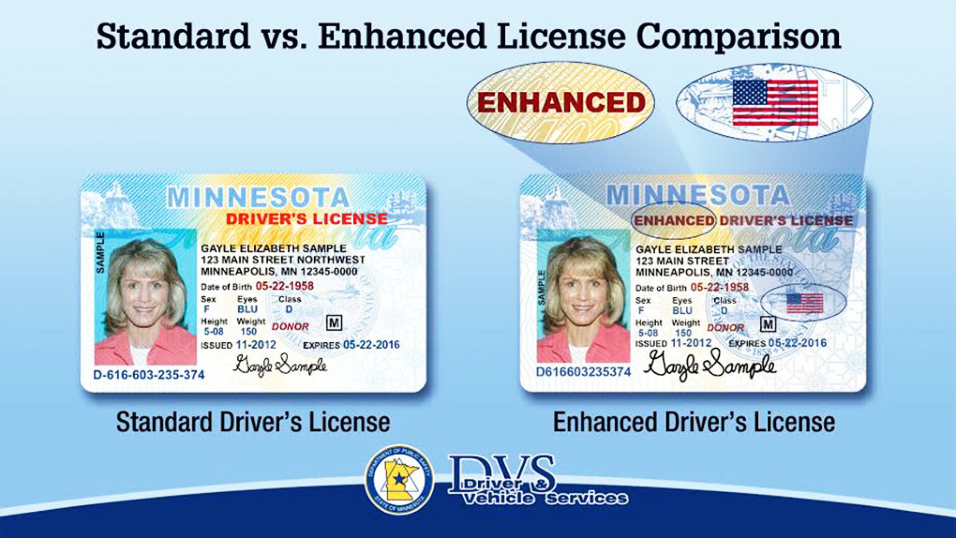 Enhanced Minnesota Driver s License Available Alexandria Echo Press enhanced-minnesota-driver-s-license-available-alexandria-echo-press