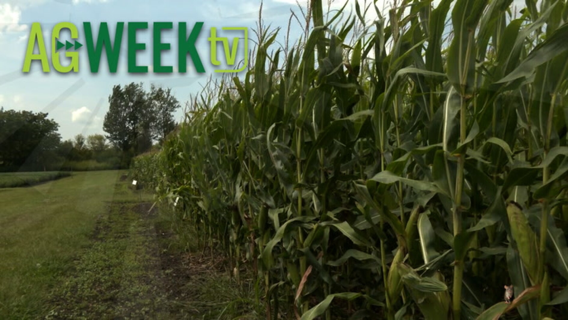 AgweekTV Full Show: Farm income, sustainable aviation fuel, Agweek Corn ...