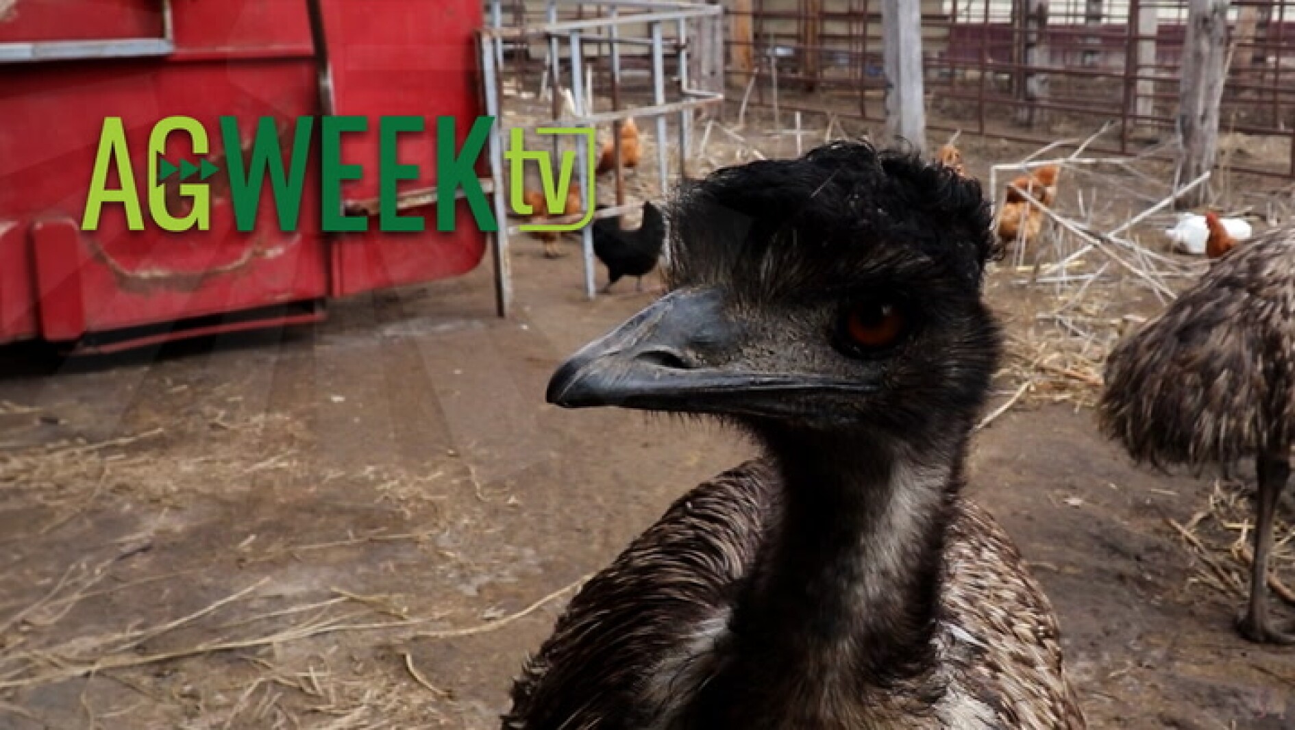 AgweekTV Full Show: Conservation programs, Sandhills Family Farm, soy ...