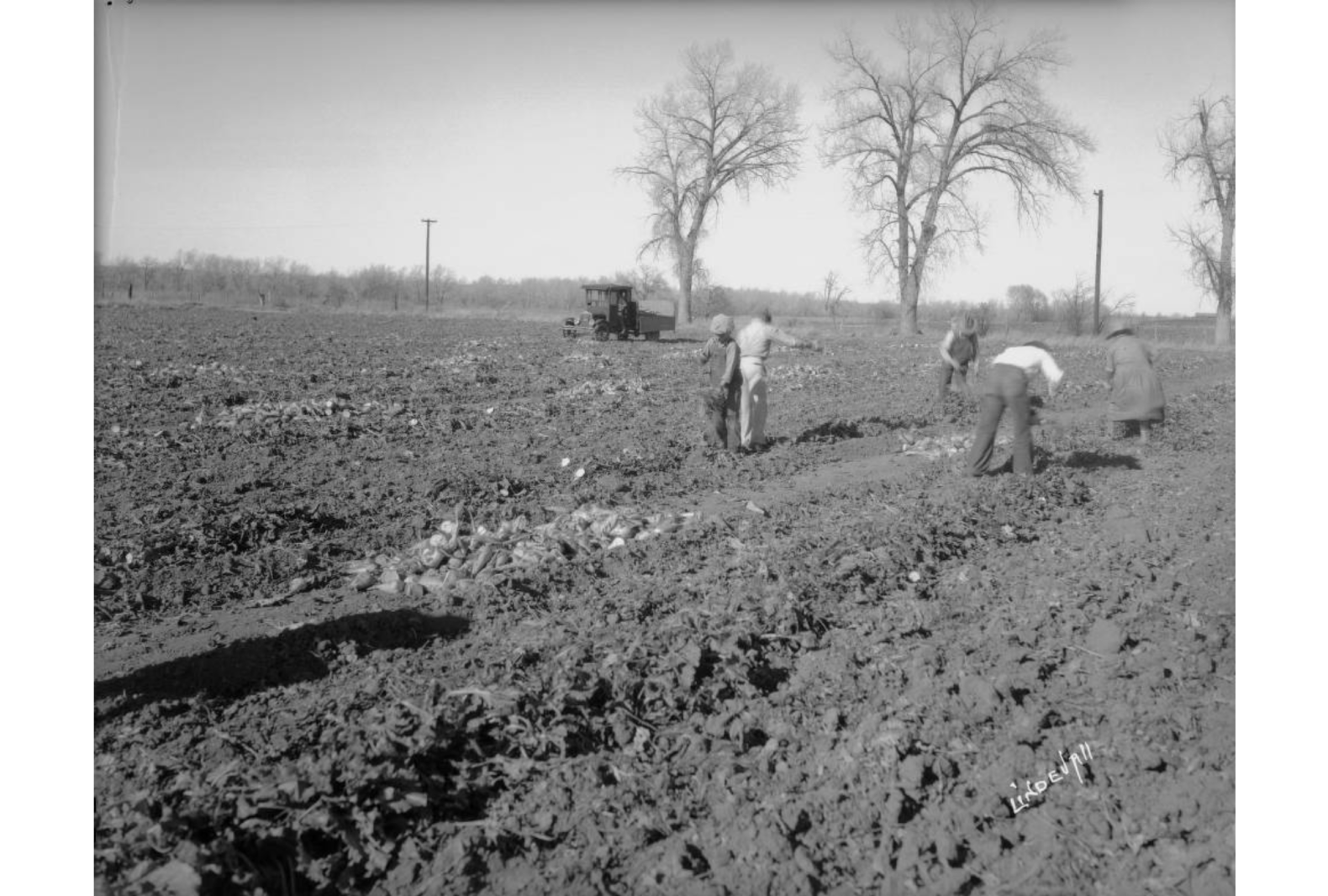 Tracing Agriculture In A Family Tree Agweek 1 Source For tracing-agriculture-in-a-family-tree-agweek-1-source-for