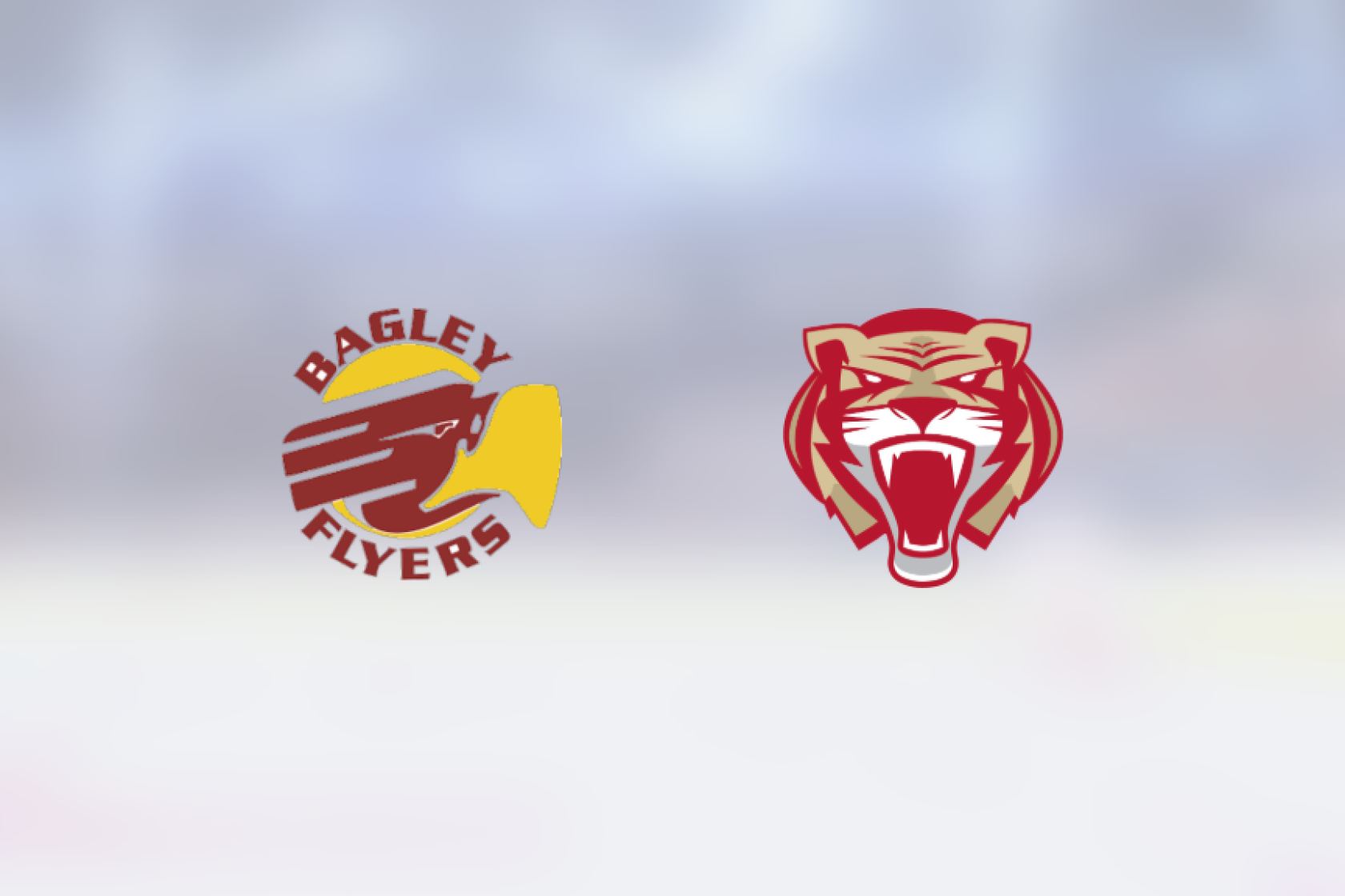 Strong defense as Bagley/Fosston Flyers beat Kittson County Central ...