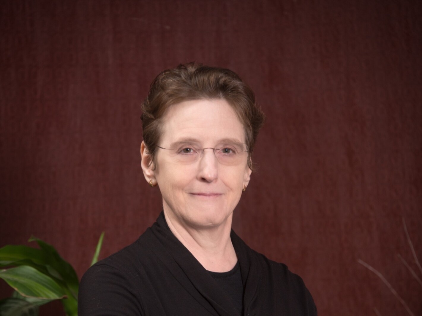 Lisa A. Abrahams, MD - Duluth News Tribune | News, weather, and sports ...