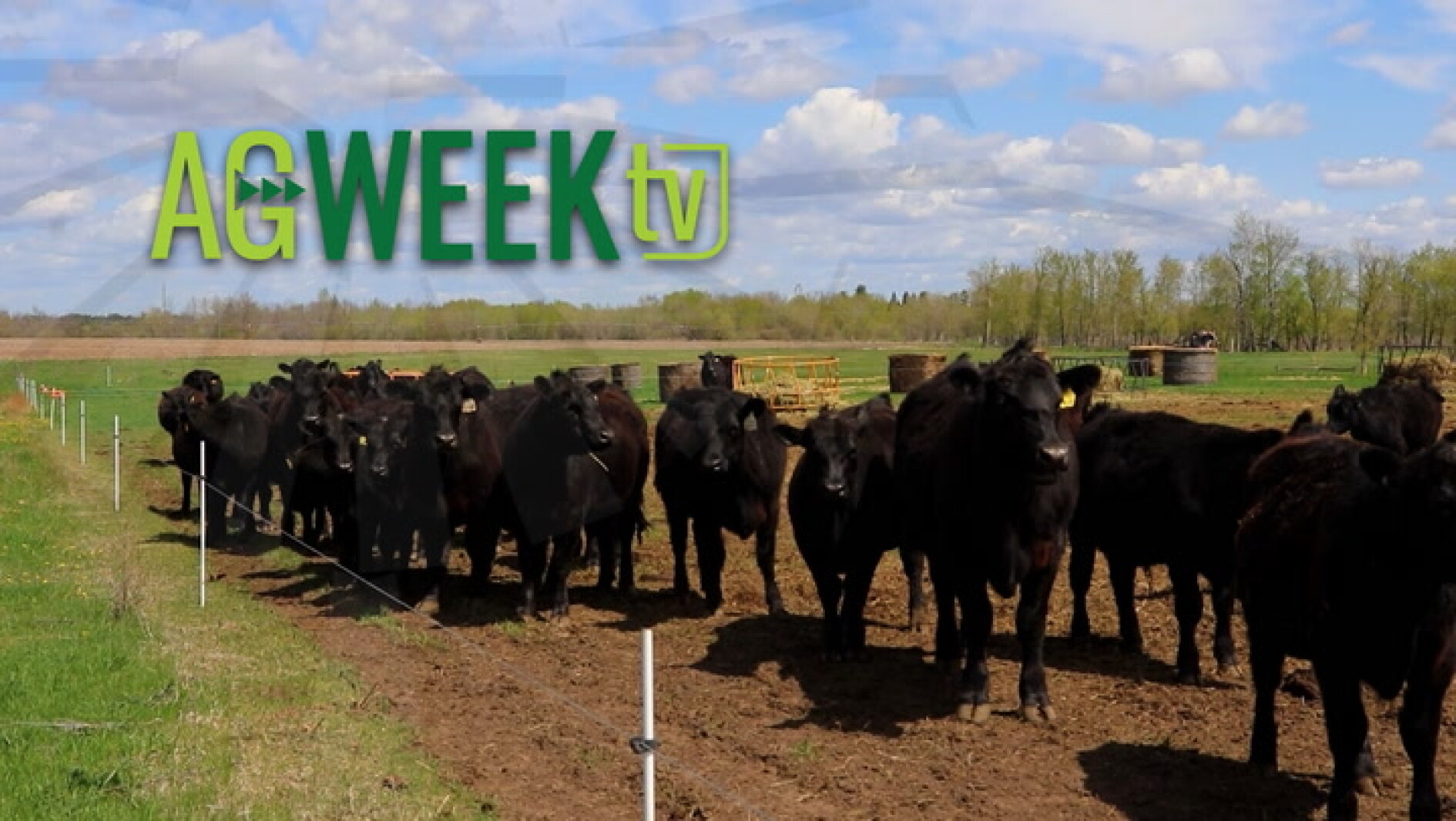 AgweekTV Full Show: Fertilizer plant, grass-fed meat, ag summit ...