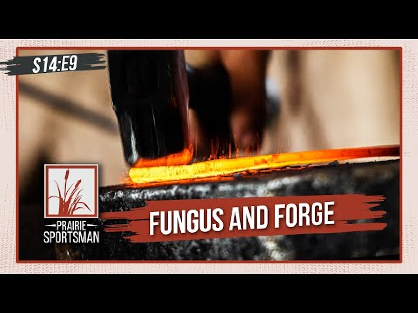 Fungus and Forge | Prairie Sportsman (S14:E9) - West Central Tribune | News, weather, sports ...