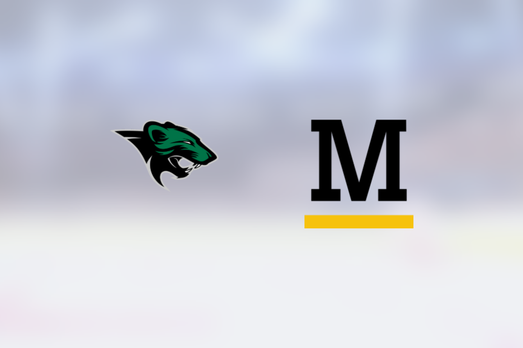 Rock Ridge Wolverines couldn't stop hard-to-beat Duluth Marshall ...