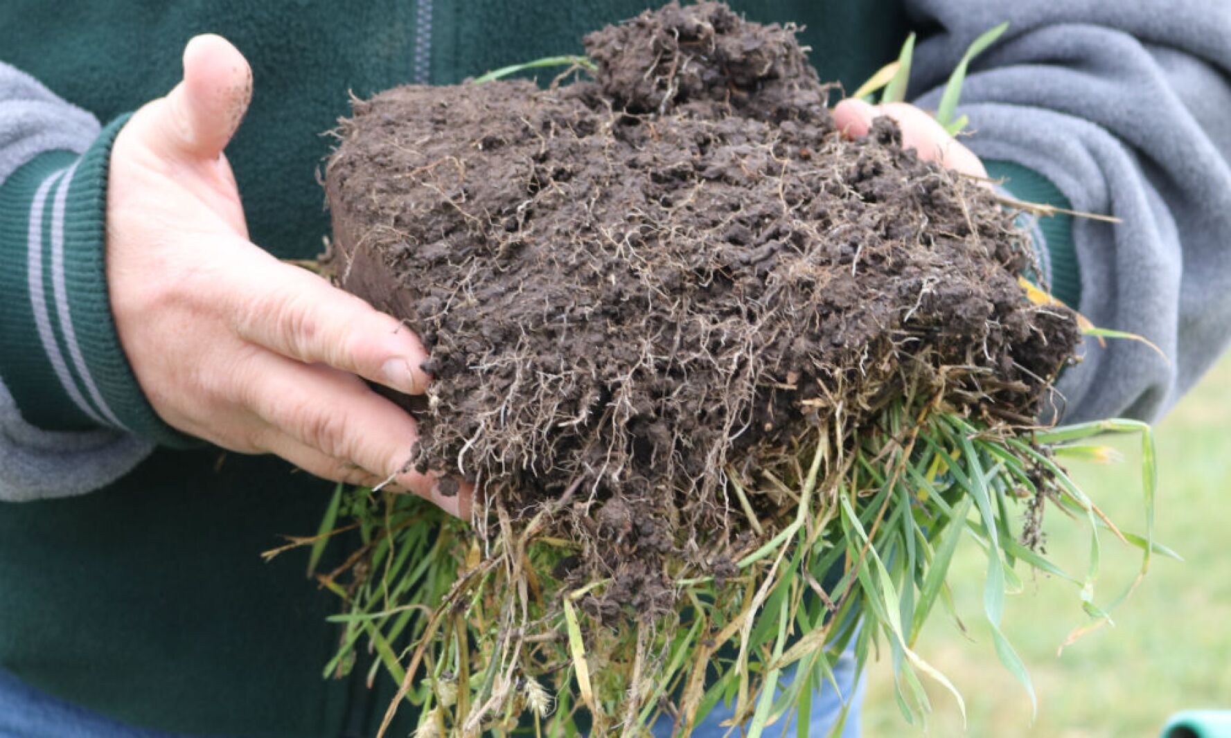 Soil Health Minute: Thanks to healthy soils - Agweek | #1 source for ...