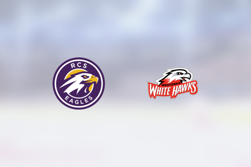 Sharp-shooting duo wins the game for Rochester Lourdes Eagles against ...
