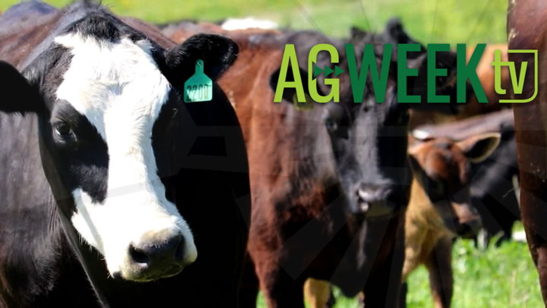 AgweekTV Full Show: E15, top soil erosion, conservation on pasture ...