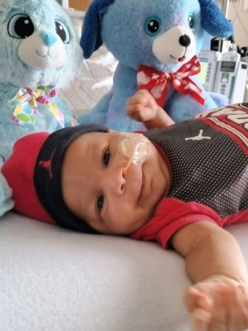 Marcel Johnston - Brainerd Dispatch | News, weather, sports from ...