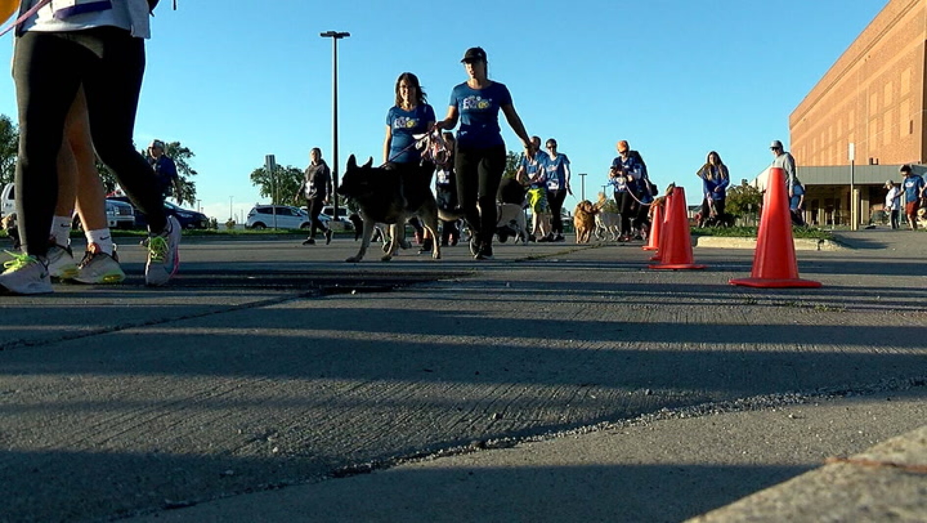 First-timer Bode takes the top spot at the 2021 FurGo Dog Run - InForum ...