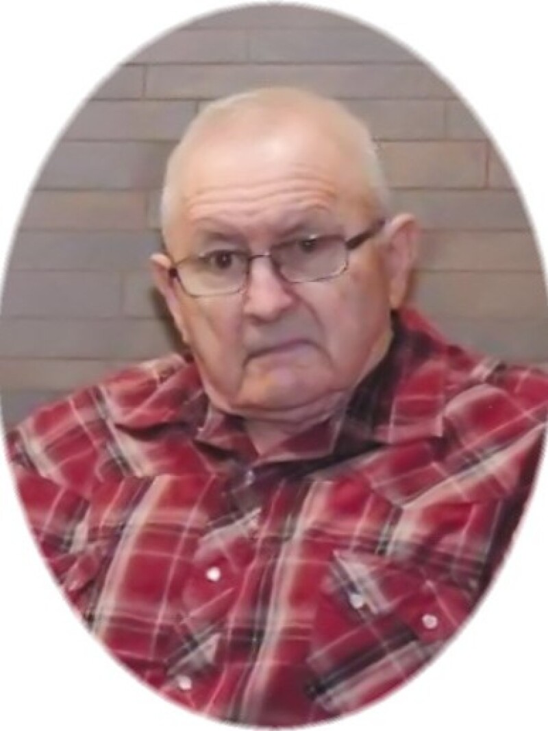 David A. Nelson - The Dickinson Press | News, weather, sports from ...