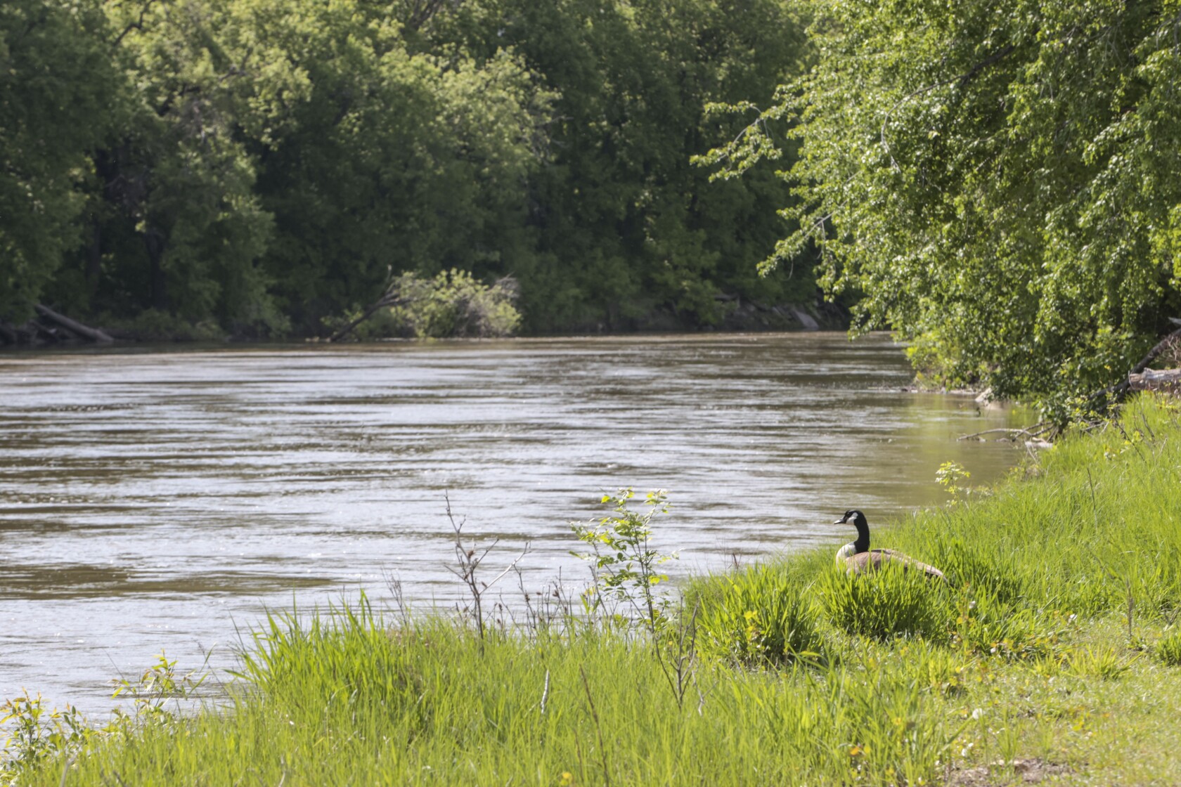 Weather Service Issues Flood Warning For The Red River Inforum
