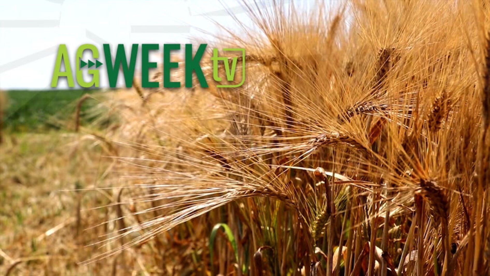 AgweekTV Full Show: Extreme cold, beer consumption and barley ...