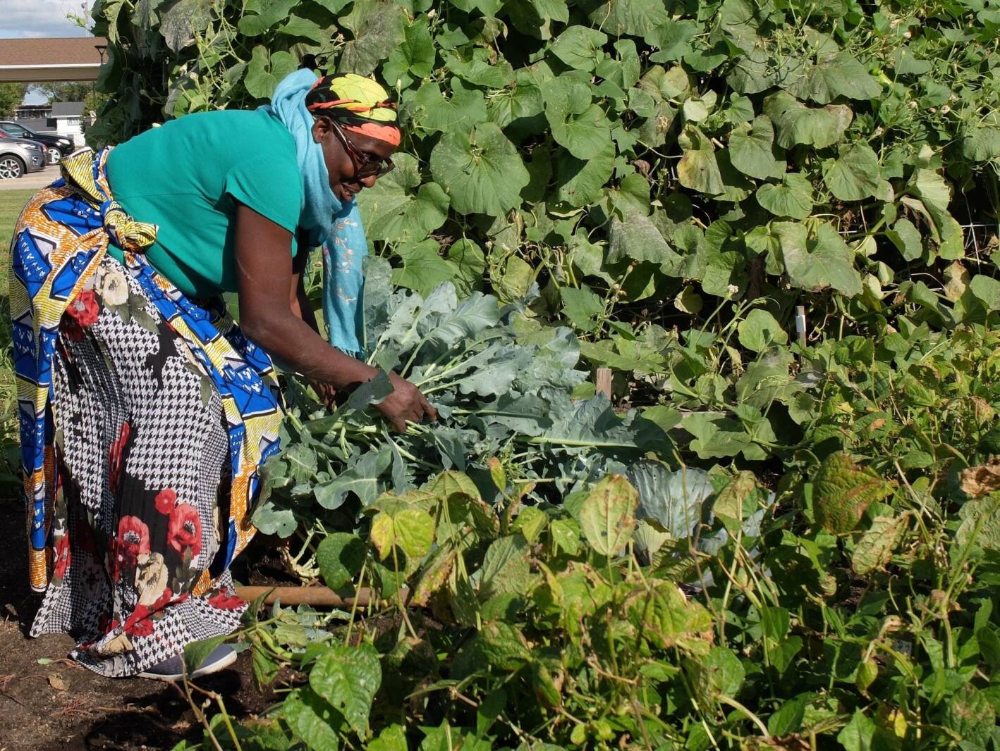 West-central Minnesota counties create local food plan - Agweek | #1 ... West-central Minnesota counties create local food plan - Agweek | #1 ...